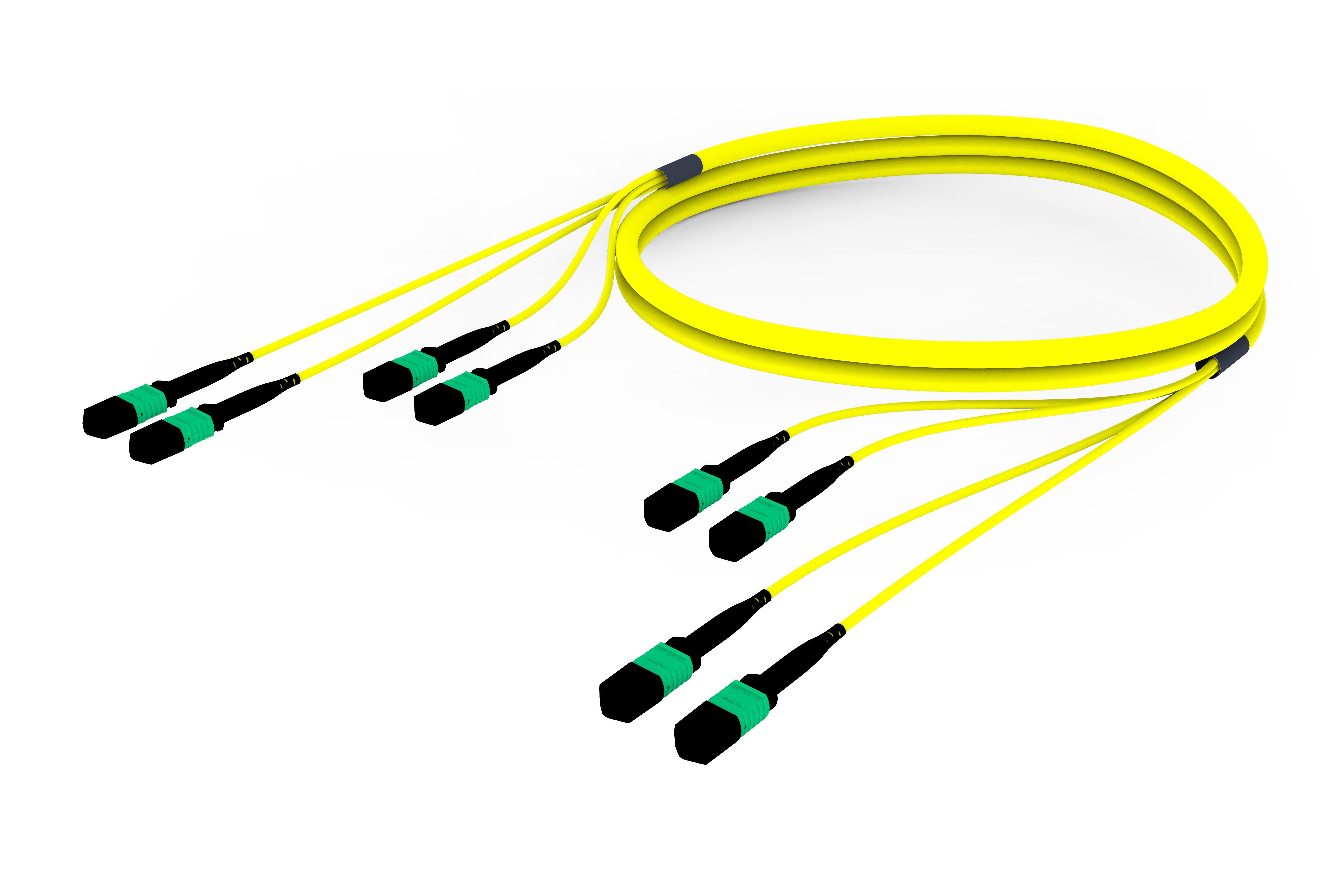 Fiber Trunk Cable Assembly, G.652.D, G.657.A1, 300 ft. lg, Stranded ...
