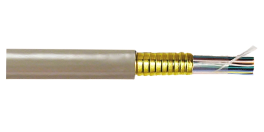 Riser Cable, Gray PVC Outer Jacket, ARMM, 24 AWG, Gray, 50 Pair